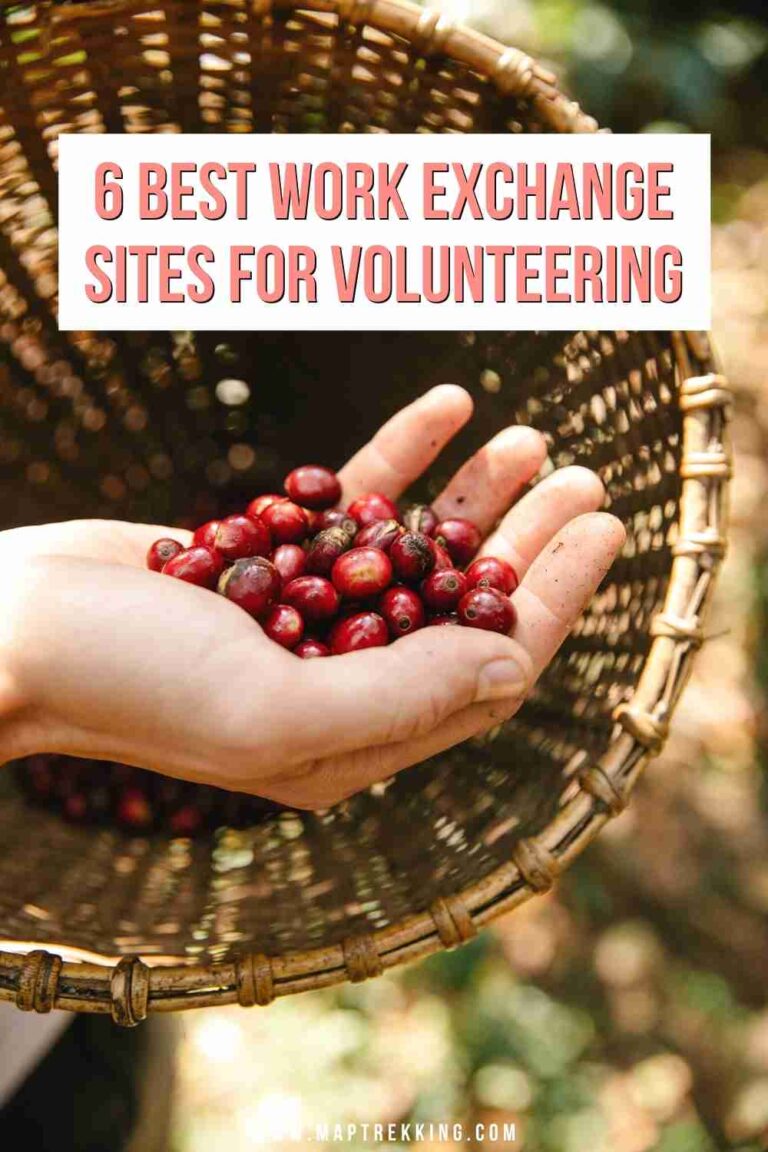 6 Amazing Websites Like Workaway That You Need To Know About