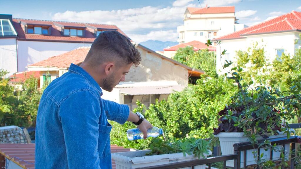 How To Start Volunteering At A Hostel - 7 Steps To Being A Hostel Volunteer